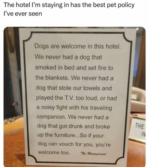 40 “Doggo Memes” To Lift Your Spirits | DeMilked