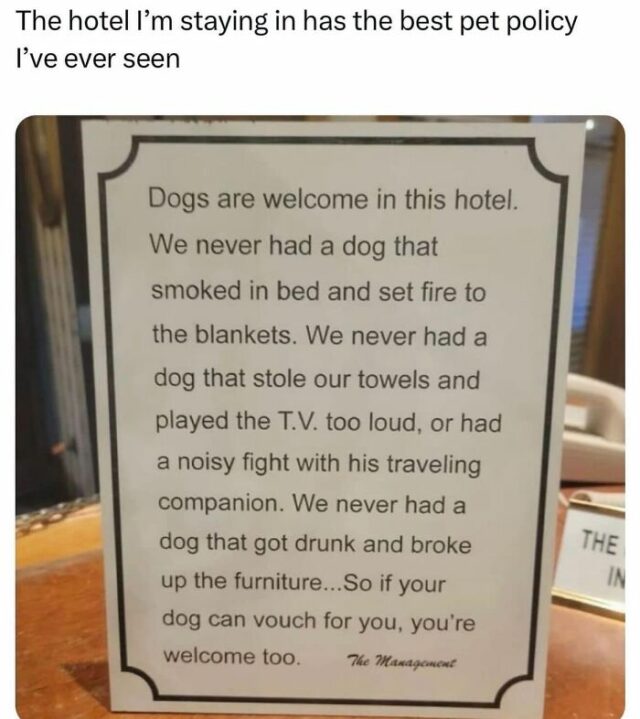 40 “Doggo Memes” To Lift Your Spirits | DeMilked