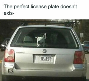 40 “Doggo Memes” To Lift Your Spirits | DeMilked