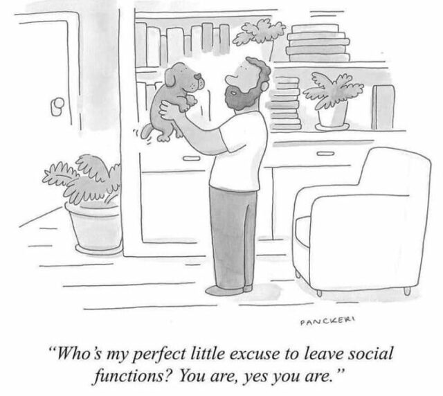 40 “Doggo Memes” To Lift Your Spirits | DeMilked