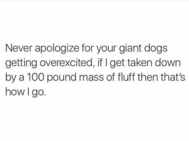 40 “Doggo Memes” To Lift Your Spirits | DeMilked