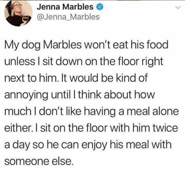 40 “Doggo Memes” To Lift Your Spirits | DeMilked