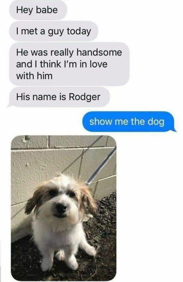 40 “Doggo Memes” To Lift Your Spirits | DeMilked