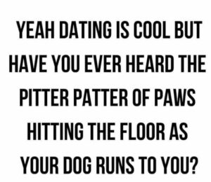 40 “Doggo Memes” To Lift Your Spirits | DeMilked