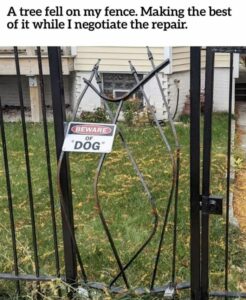 40 “Doggo Memes” To Lift Your Spirits | DeMilked