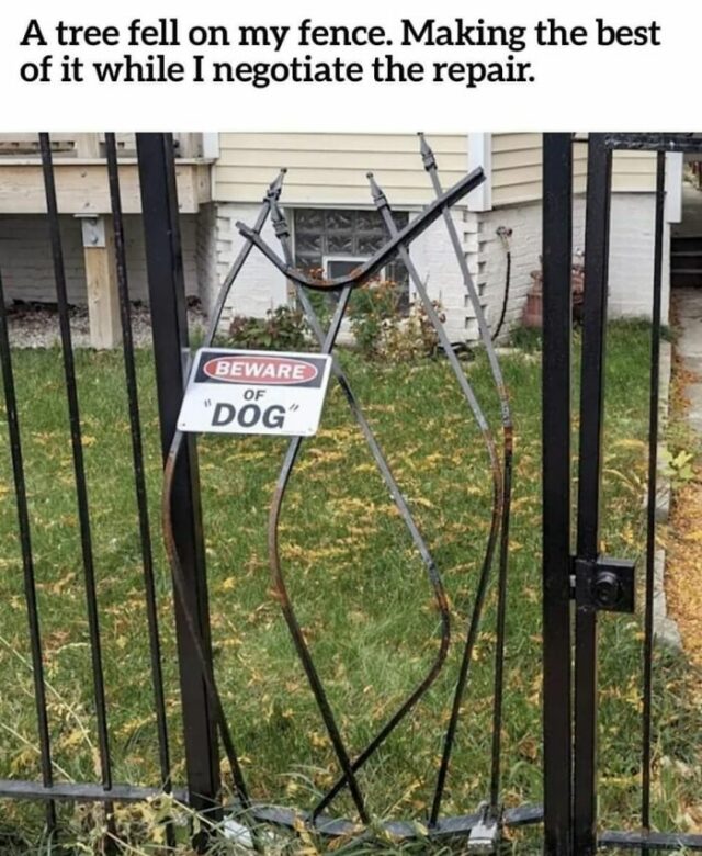 40 “Doggo Memes” To Lift Your Spirits | DeMilked