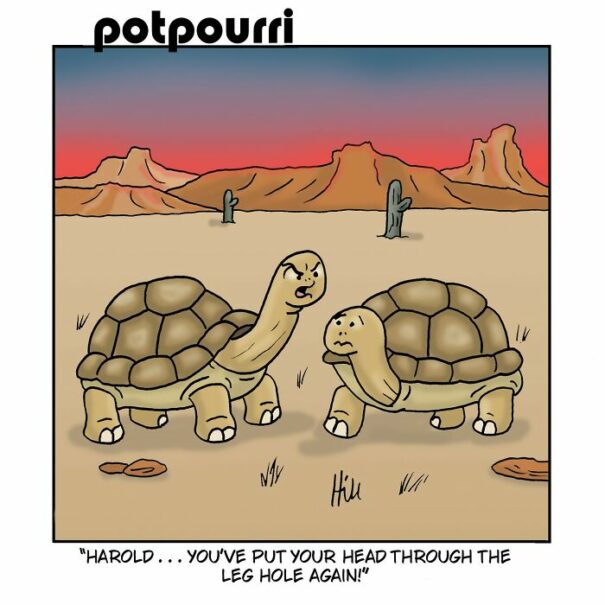 25 Witty One-Panel Comics That Reflects On Funny Snapshots Of Existence ...