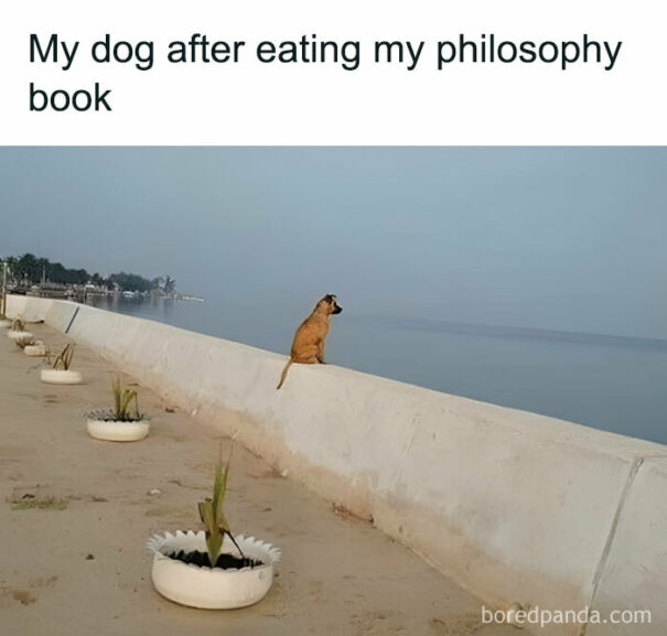 40 Of The Funniest Philosophical Memes | DeMilked