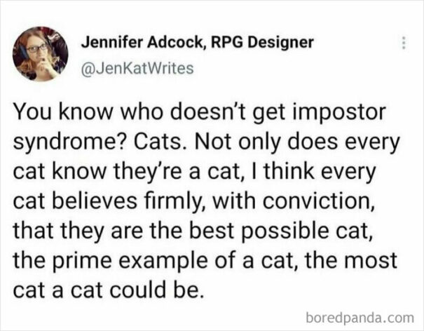 40 ‘Grumpy Animal Memes' For When You Need A Mood-Booster | DeMilked