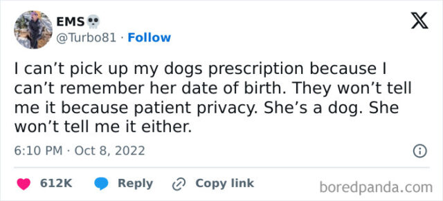 40 ‘Grumpy Animal Memes' For When You Need A Mood-Booster | DeMilked