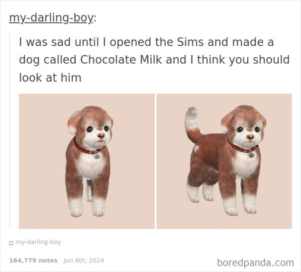 30 Funny Sims Memes To Peruse While Your Game Loads | DeMilked