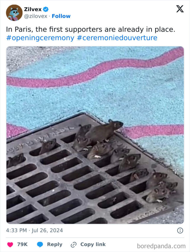 30 Funny Memes About The 2024 Olympics | DeMilked