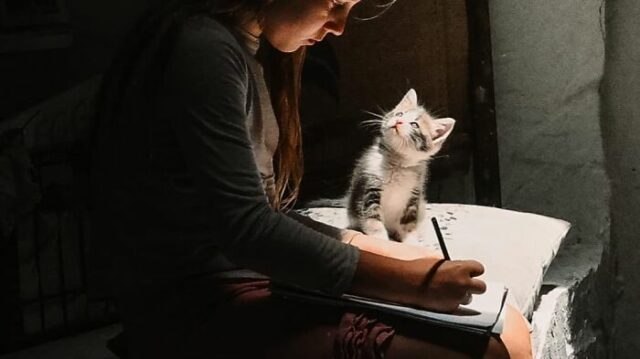 25 Photos Of Felines That Look Like “Accidental Renaissance Cats ...