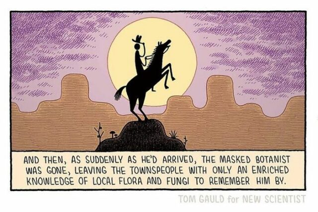 25 Amusing Comics By Tom Gauld For Science Enthusiasts And Bookworms ...