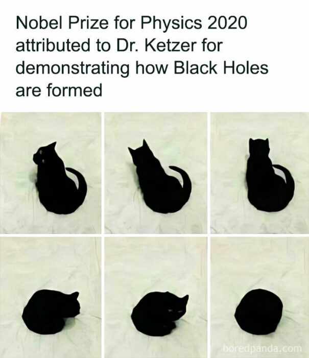 40 Brainy Science Memes To Tickle Your Funny Bone | DeMilked