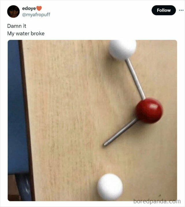 40 Brainy Science Memes To Tickle Your Funny Bone | DeMilked