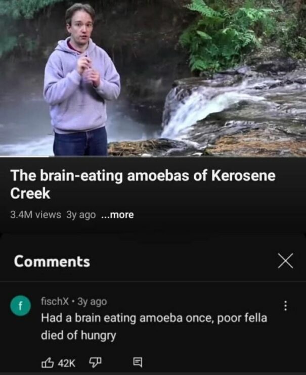 40 Brainy Science Memes To Tickle Your Funny Bone | DeMilked