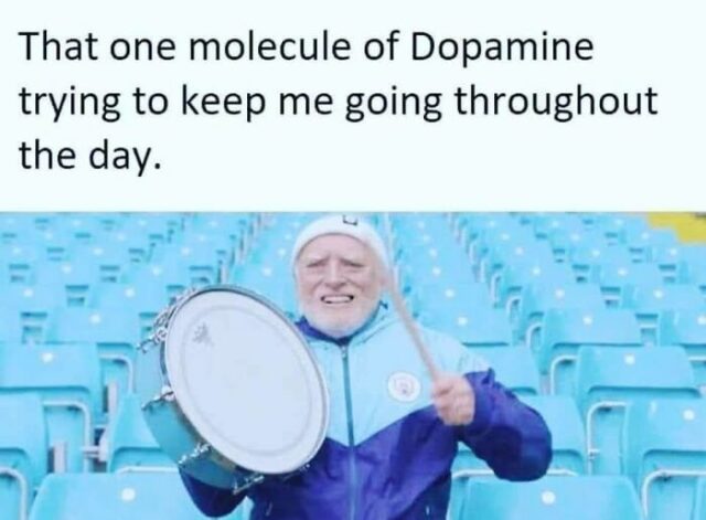 40 Brainy Science Memes To Tickle Your Funny Bone | DeMilked