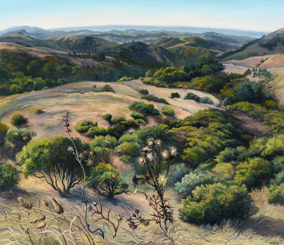 20 Amazing Pics Revealing The Majestic Beauty Of The American West, By ...