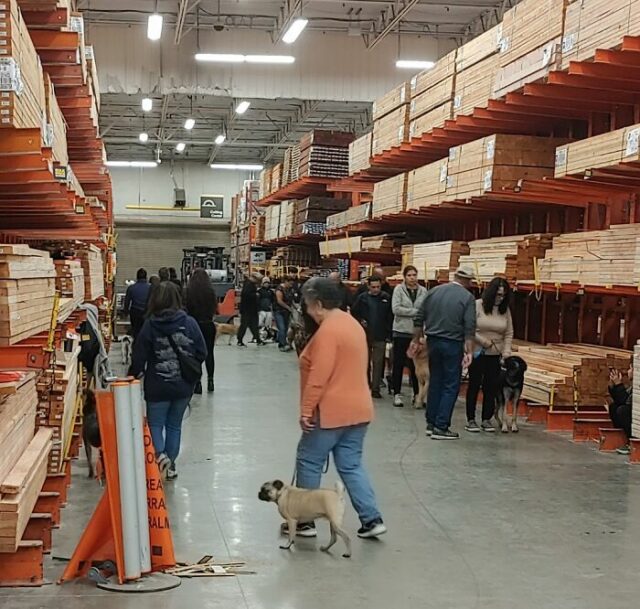 25 Of The Worst Home Depot Customers’ Crimes | DeMilked