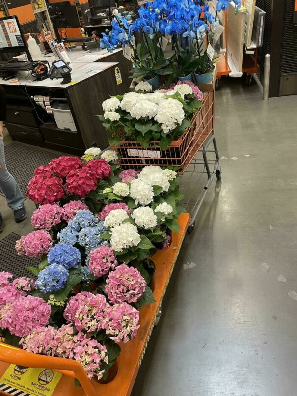 25 Of The Worst Home Depot Customers’ Crimes | DeMilked