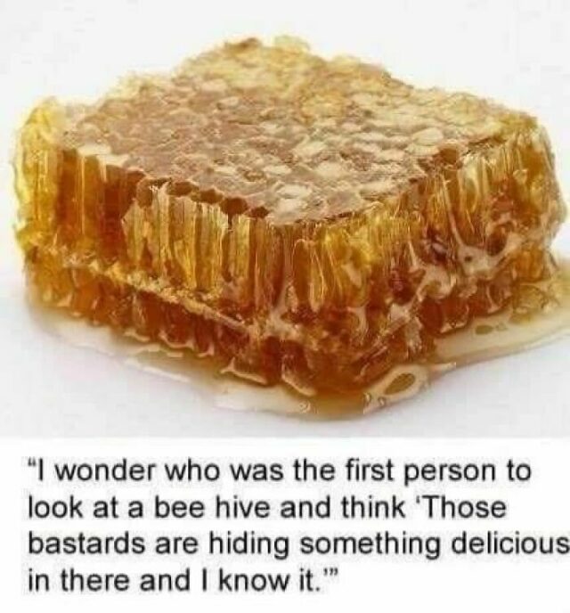 40 Hilarious ‘Fun With Science’ Memes | DeMilked