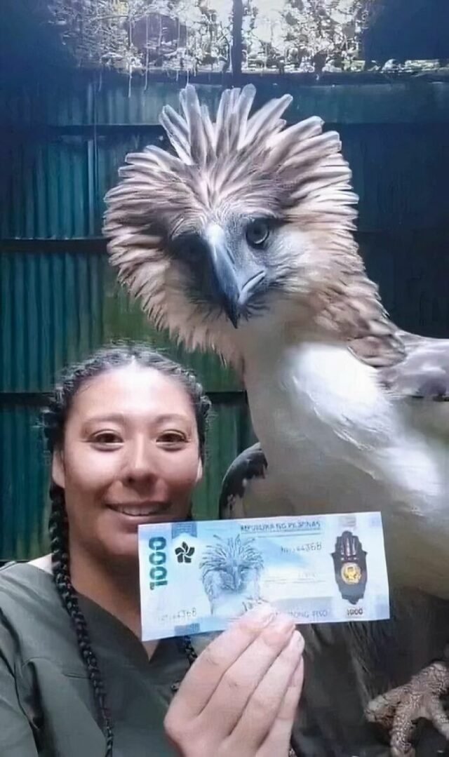 30 Times Birds Surprised People With Their Funny And Unconventional ...