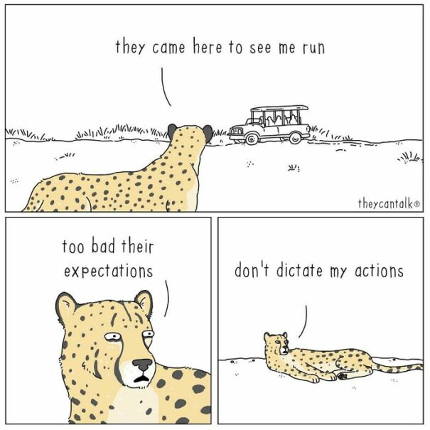 25 New Comics Featuring Talking Animals By Jimmy Craig | DeMilked