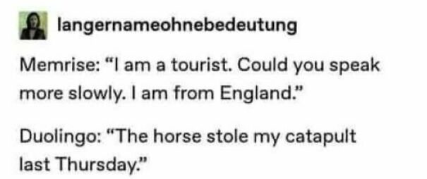 25 Duolingo Memes That May Inspire You To Learn A New Language | DeMilked