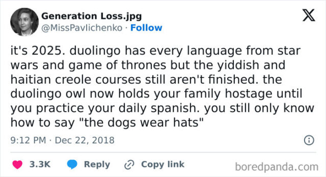 25 Duolingo Memes That May Inspire You To Learn A New Language | DeMilked