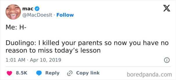 25 Duolingo Memes That May Inspire You To Learn A New Language | DeMilked