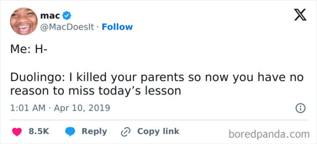 25 Duolingo Memes That May Inspire You To Learn A New Language | DeMilked