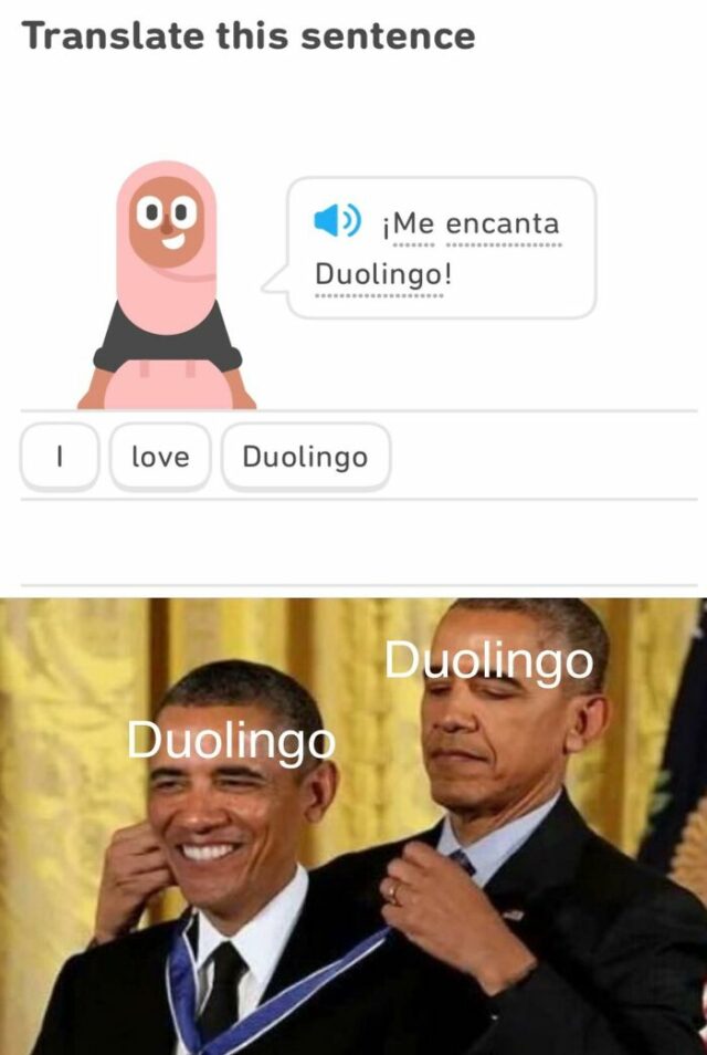 25 Duolingo Memes That May Inspire You To Learn A New Language | DeMilked