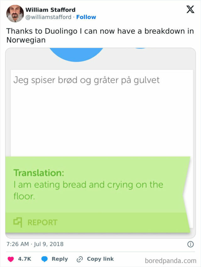 25 Duolingo Memes That May Inspire You To Learn A New Language | DeMilked