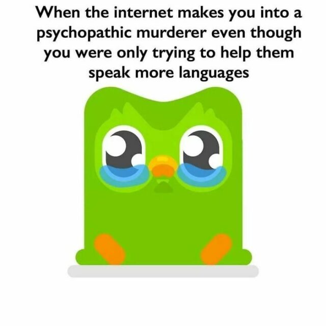 25 Duolingo Memes That May Inspire You To Learn A New Language | DeMilked