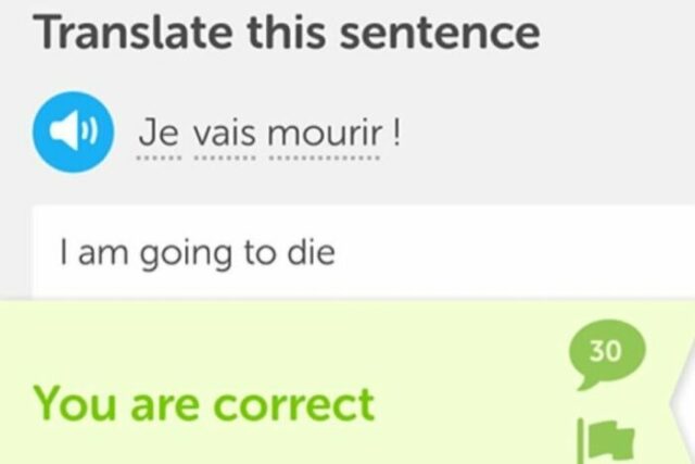 25 Duolingo Memes That May Inspire You To Learn A New Language | DeMilked