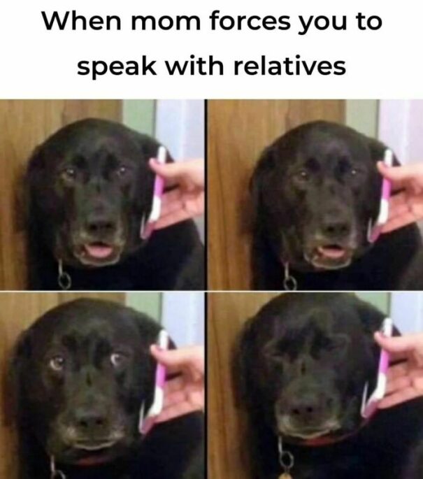 30 Funny And Relatable Memes, As Shared On This Instagram Page | DeMilked