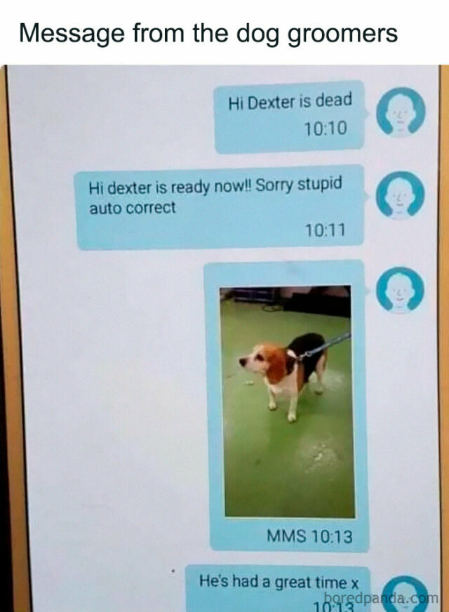 Here Are 35 Funny Memes Packed With Mind-numbing Humor | DeMilked