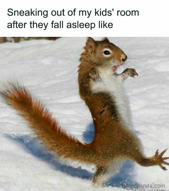 40 Funny Newborn Parenting Memes | DeMilked