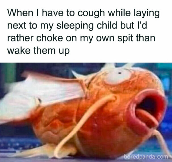 40 Funny Newborn Parenting Memes | DeMilked