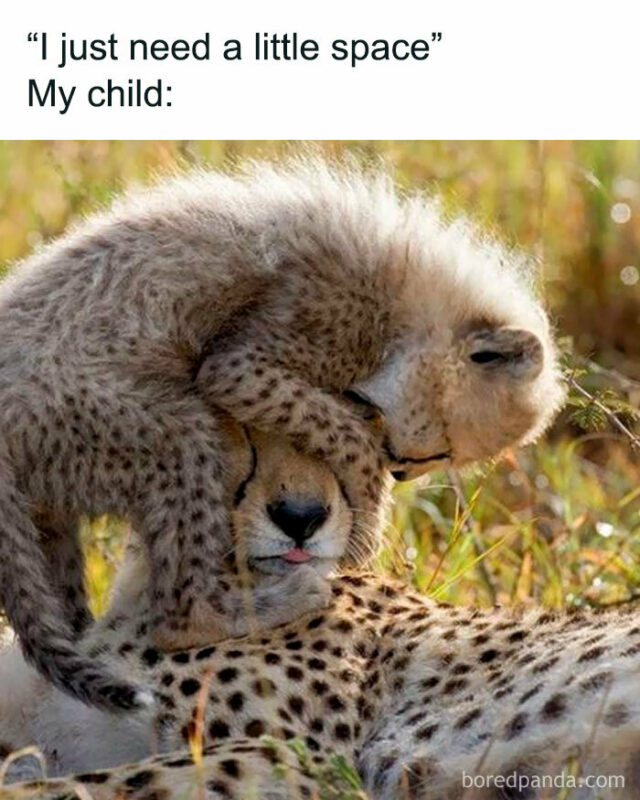 40 Funny Newborn Parenting Memes | DeMilked