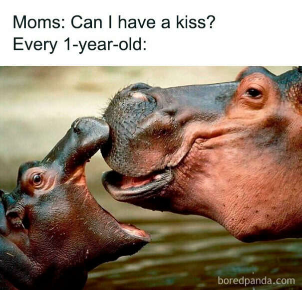 40 Funny Newborn Parenting Memes | DeMilked