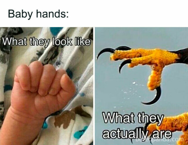 40 Funny Newborn Parenting Memes | DeMilked