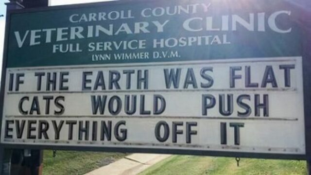 40 Funny Signs People Stumbled Upon And Couldn’t Help Laughing At ...