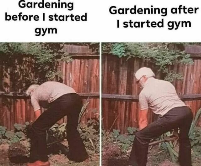 25 Funny Gym Memes You Need To See, As Shared By “Gym Fail Nation ...