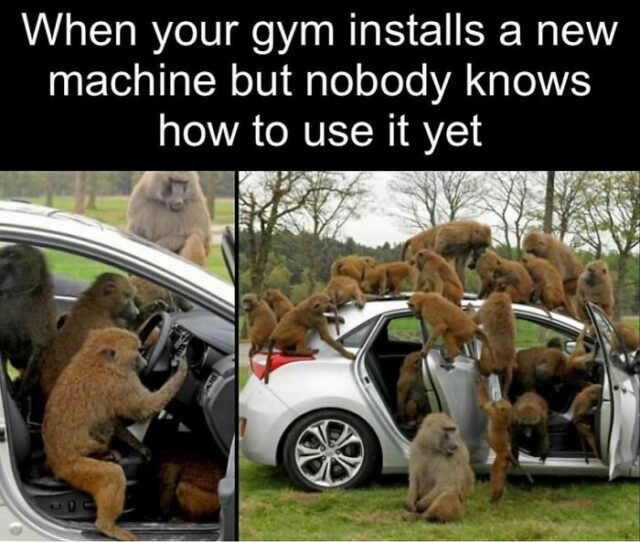 25 Funny Gym Memes You Need To See, As Shared By “Gym Fail Nation ...