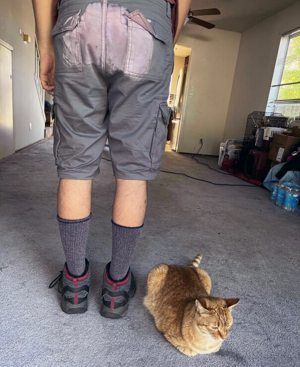 40 Of The Funniest Photos People Shared Under A ‘House Cleaning Fails ...