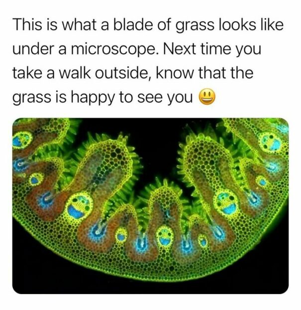 “How Things Work”: 40 Fascinating Facts For Curious Minds | DeMilked