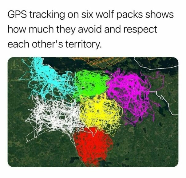 “How Things Work”: 40 Fascinating Facts For Curious Minds | DeMilked