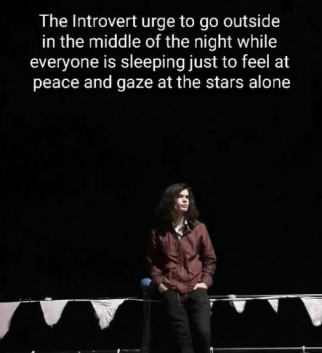 25 Relatable Memes That Accurately Describe An Introvert’s Thoughts ...